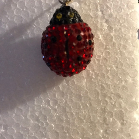 Jewelry | Lady Bug Pendant | Poshmark